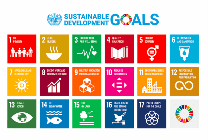 Sustainable Development Goals (SDG) — Guernsey Disability Alliance